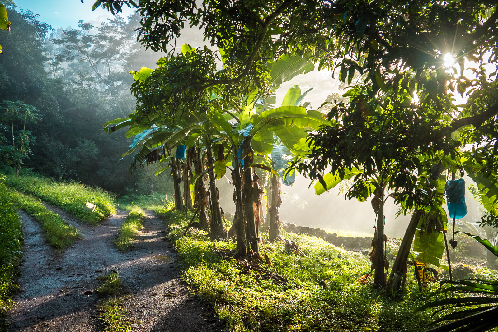 Dharmananda: on the farm with the Dharm. – Heidi & Mike's Big Tiny ...